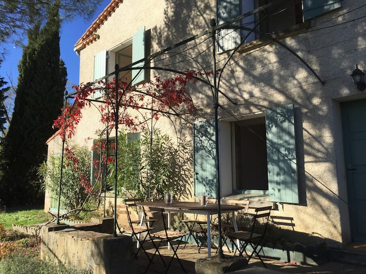 House In A Vineyard - View On Cite De Carcassonne - Carcassonne