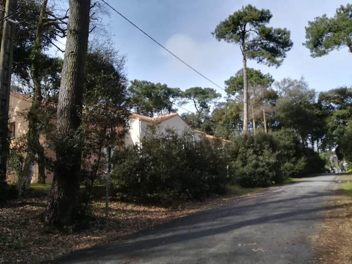 Sur Le Chemin Des éCureuils - Saint-Brevin-les-Pins