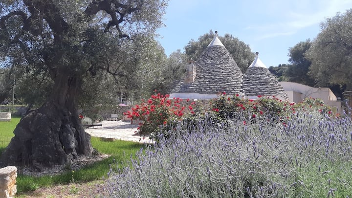 Ostuni  Trullo Di Charme - Ostuni