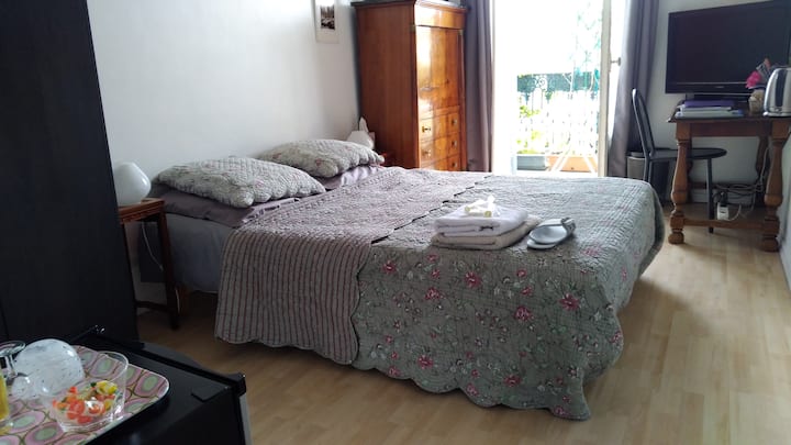 A Lovely Room In The Heart Of Nice - Nice