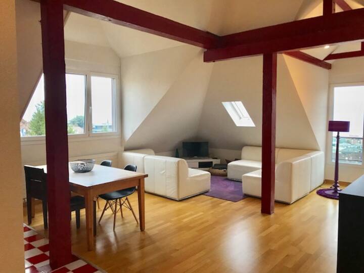 70m2 , Magnifique 3 Pièces Vue Lac Et Montagnes. - Renens
