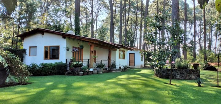 Lugar Encantador Dentro De áRea De Bosque. - バジェ・デ・ブラボ