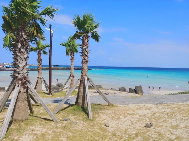 제주 함덕해수욕장 1분거리 1층 독채 넓은집 - Jeju