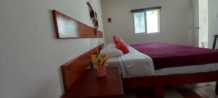 "4" "Tiburón Toro" Squalo's Place - Holbox