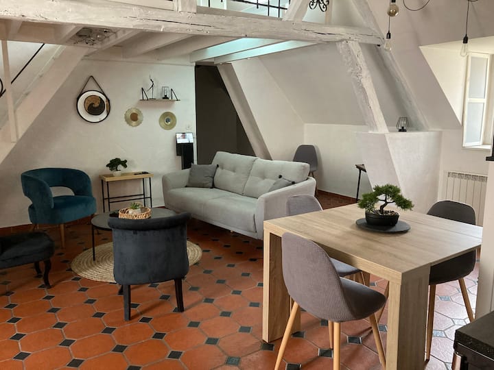 Appartement Cosy En Coeur De Ville - Chalon-sur-Saône