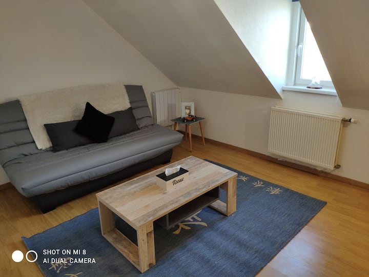 Joli Appartement Avec Place De Parking Privé - Colmar
