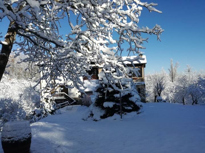 Appartamento Il Noce - Abetone