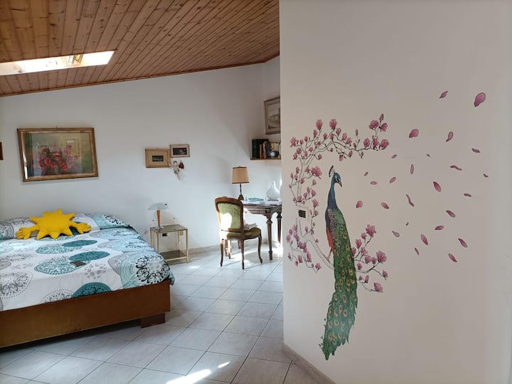 Incantevole Appartamento Dotato Di Ogni Comfort - Noli