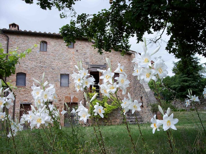 Cozy Country Cottage - Monteriggioni