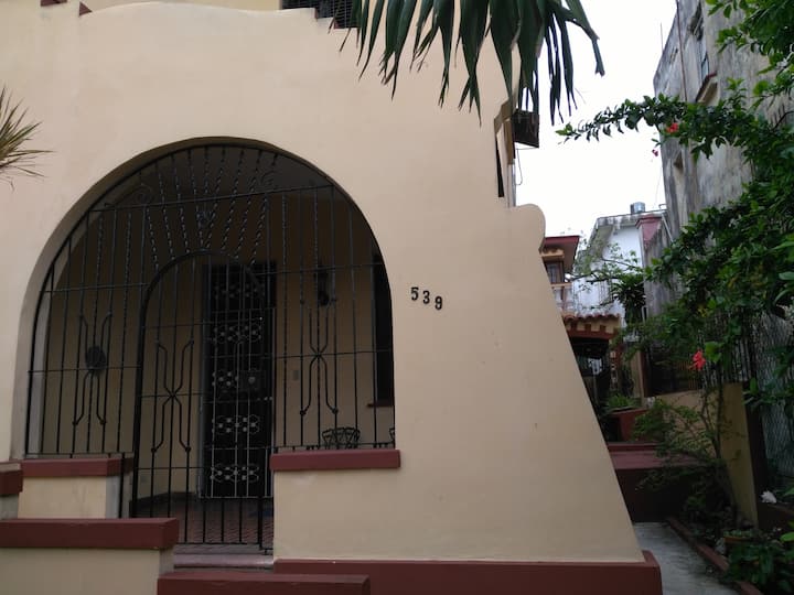 Giselle’s Apartment+electric Generator - Havana