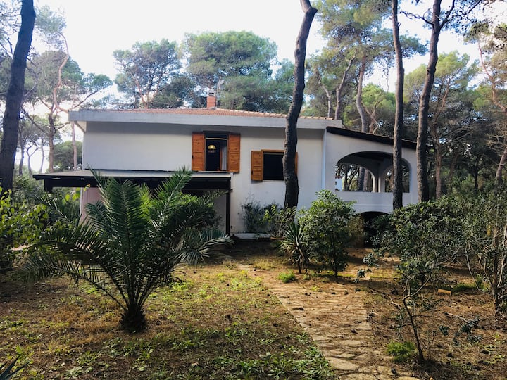 Villa Immersa Nel Verde, Con Spiaggia Privata - Castellaneta Marina