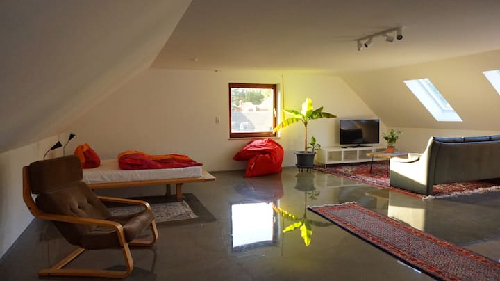 Großes Und Helles Appartment, Wlan, Messe Nbg 5min - Schwabach