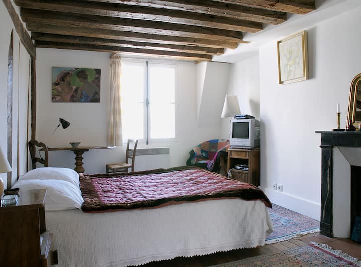 Nest In Paris-le Marais - Paris