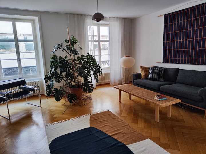 Cozy Apartment Near Old Town - Bâle