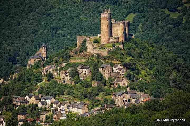 Maison De Village En Pierres - Najac