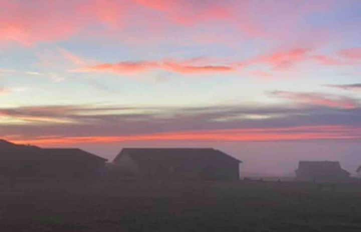Ocean View Bungalow - McKinleyville, CA