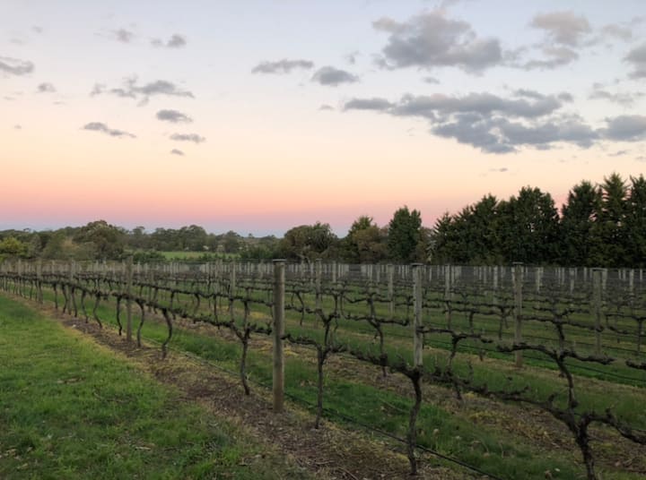 Vineyard Hideaway - Mornington