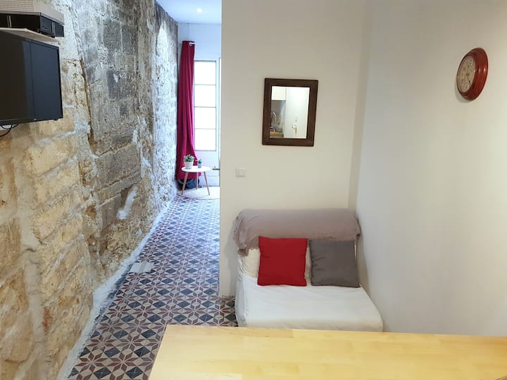 🌞Centre éCusson, Joli T1 De Caractère Proche Tram - Ibis Budget Montpellier Nord Euromédecine