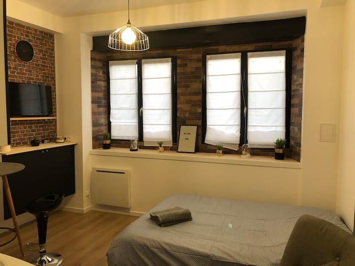 A Deux Min De La Gare Studio Esprit Loft - Strasbourg