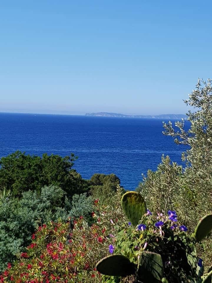 Les Lauriers Roses 2 - Ramatuelle