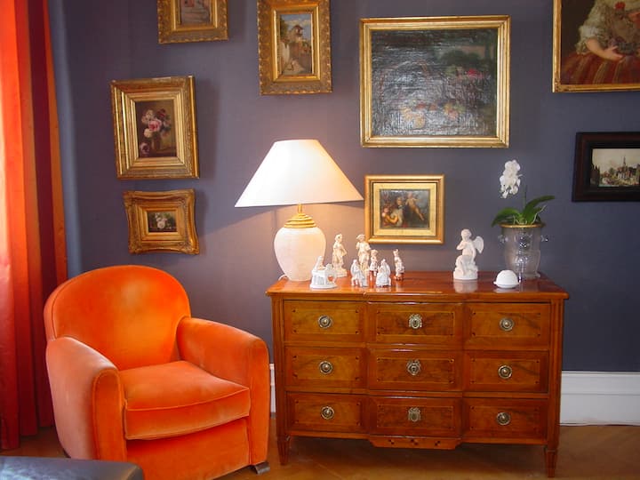 Ch. Charme, Vue Imprenable, P/déjeuner Remarquable - Colmar