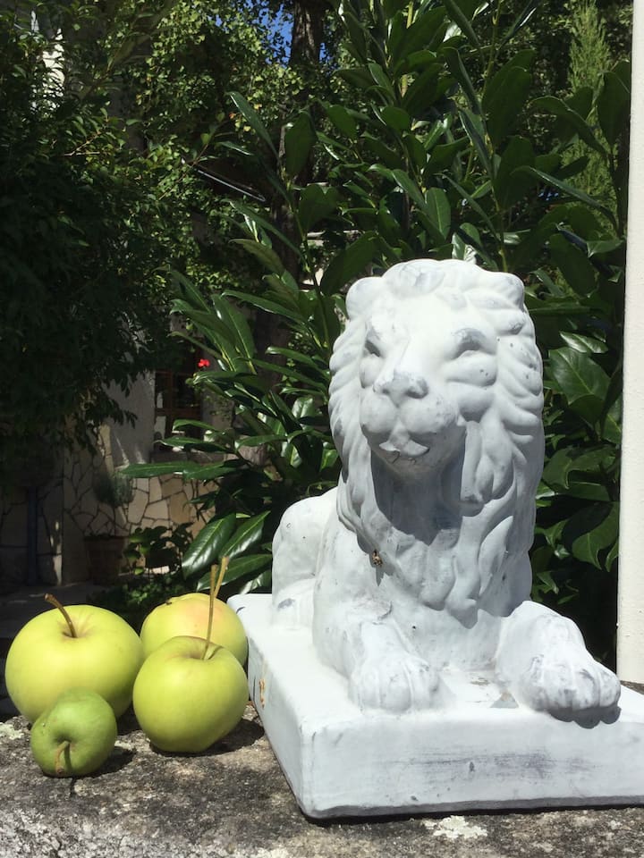 Lions Country Home - Offenbach am Main