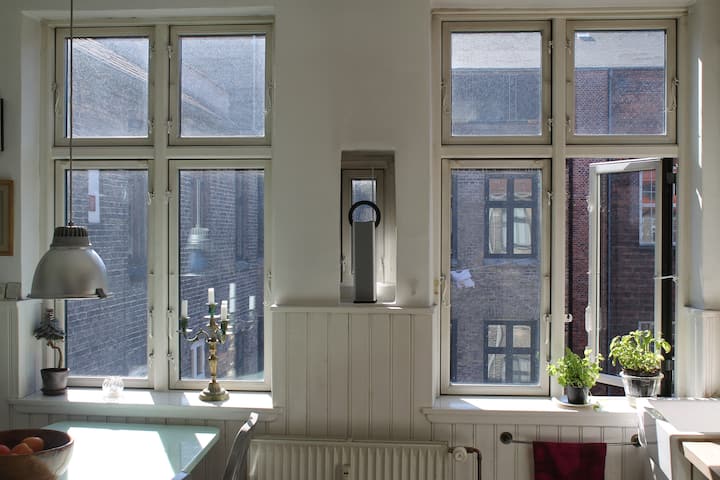 Charmerende Lejlighed Med Udsigt - Copenhague