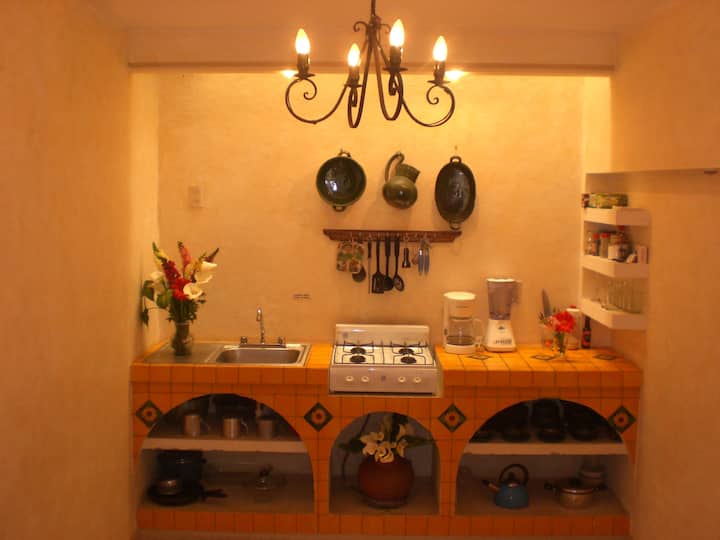 Very Nice Apartments In Oaxaca.. - Oaxaca
