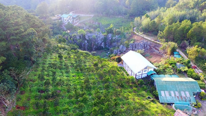 Rock Inn & Cafe - Sagada