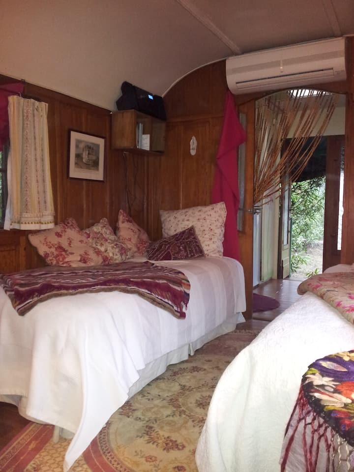 Chambre Privative Dans Maison D'hotes L'amandari - Sainte-Maxime