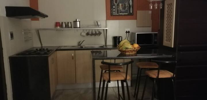 Modern Studio Apartment Fully Equipped 10min Ort - Germiston