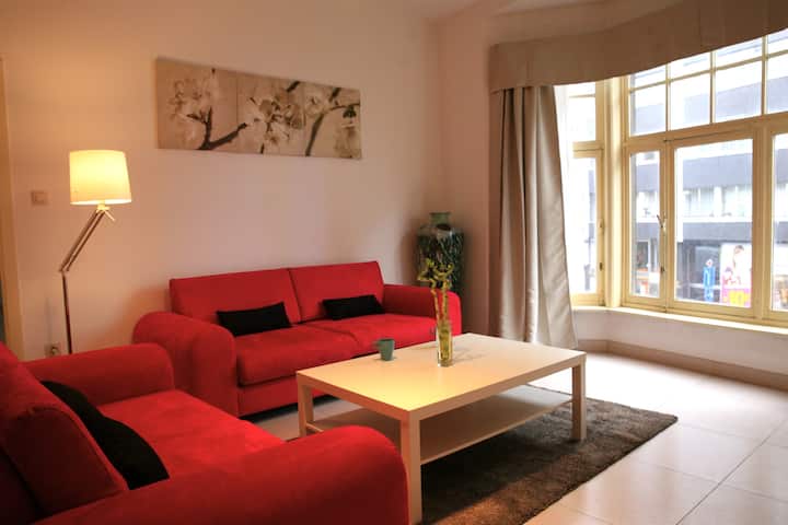 101、antwerp Central Station's Charming Apartment - Lier
