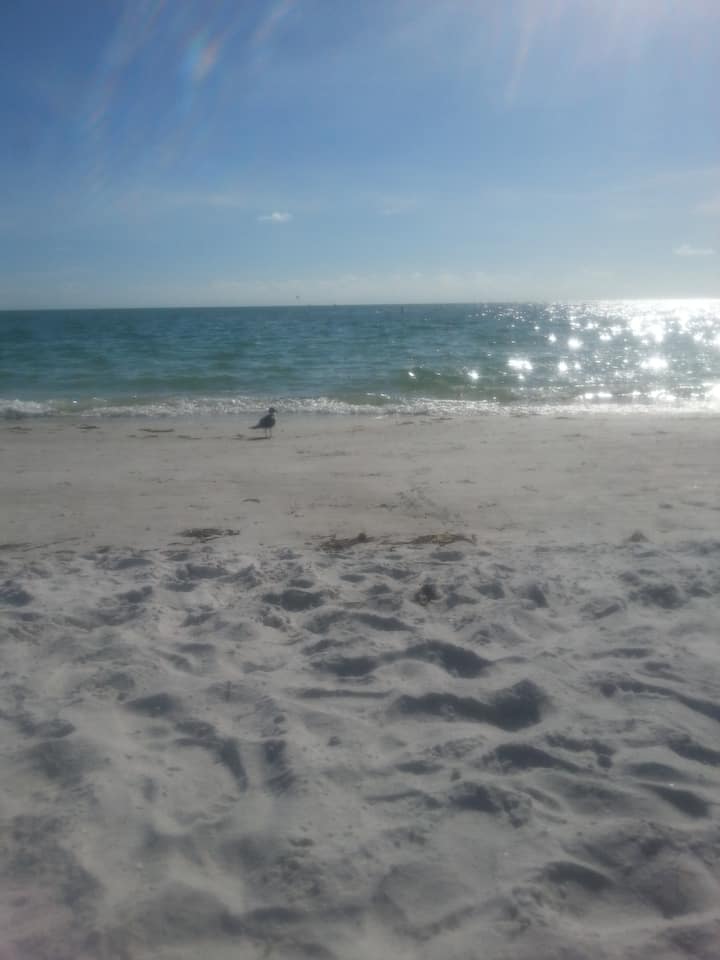 Cozy Beach House 2 Bedroom - Treasure Island, FL
