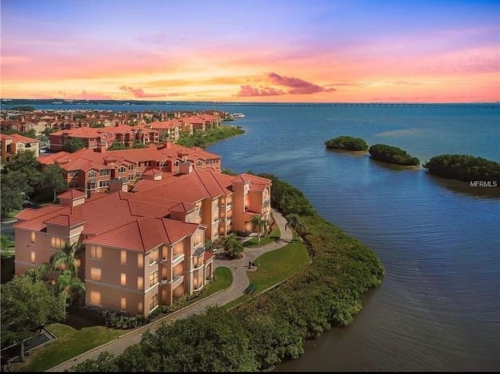 Dolphin Point - Clearwater, FL