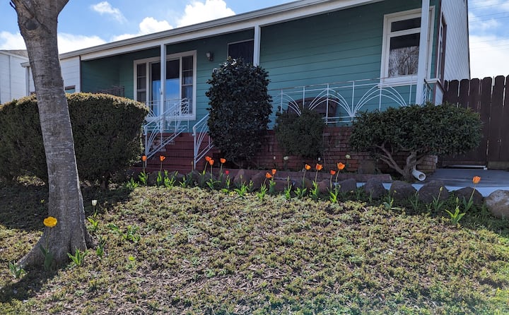 Private Garden Bedroom Near Sfo, Bart  & Caltrans - Millbrae, CA