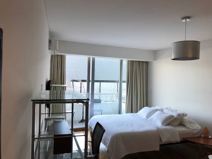 Palermo New Studio Apt On J.f.k Street - Buenos Aires