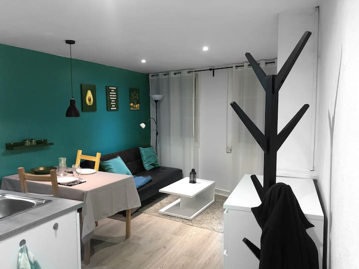 Studio Moderne Tout éQuipé Au Pied Des Monuments - Le Puy-en-Velay