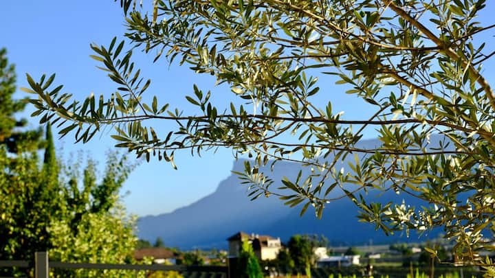 Wohnung Für 5 Personen - Lana