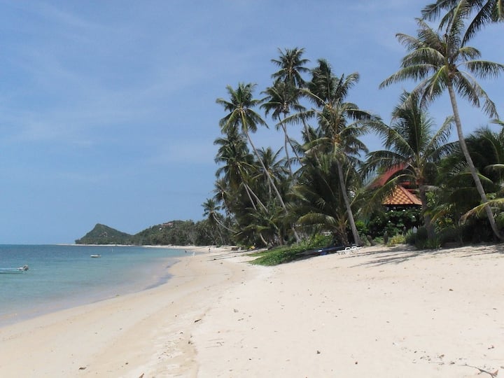 One Bedroom, Beachside , Ground Floor Apartment - Ko Samui