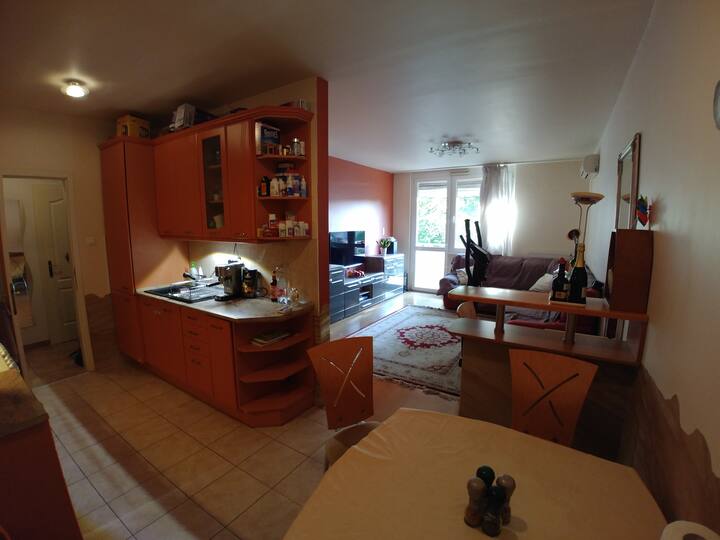 Perfect Apartment For Sziget - Szentendre