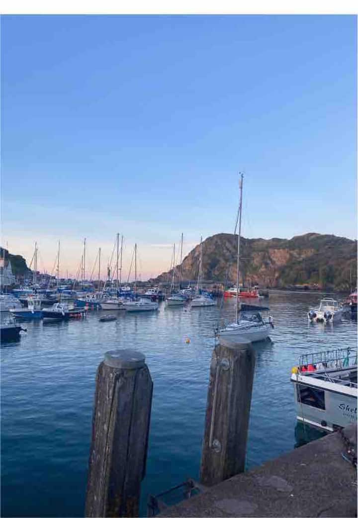 3 Bedroom House 5 Mins Walk To Harbour And Beach - North Devon District