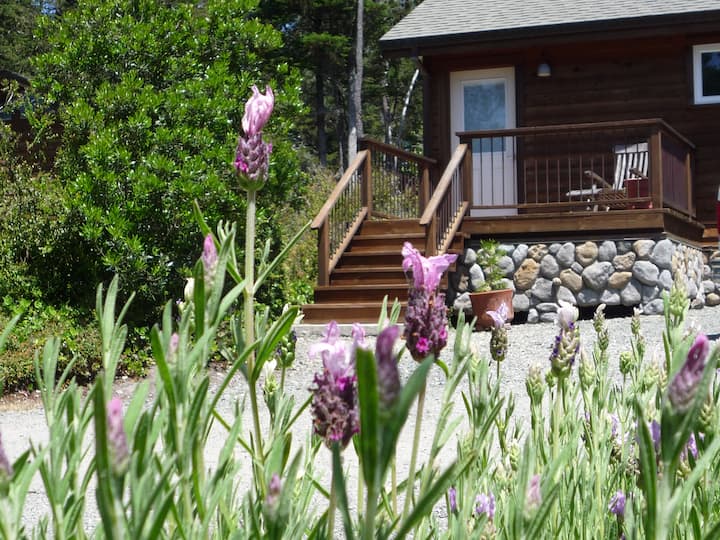 Guest Studio Minutes From Mendocino ❤️ - Mendocino, CA
