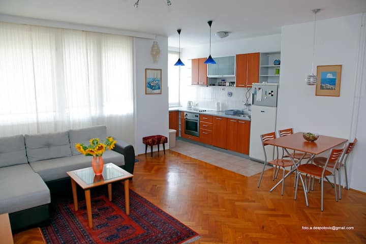 Apartment 57 - Belgrade