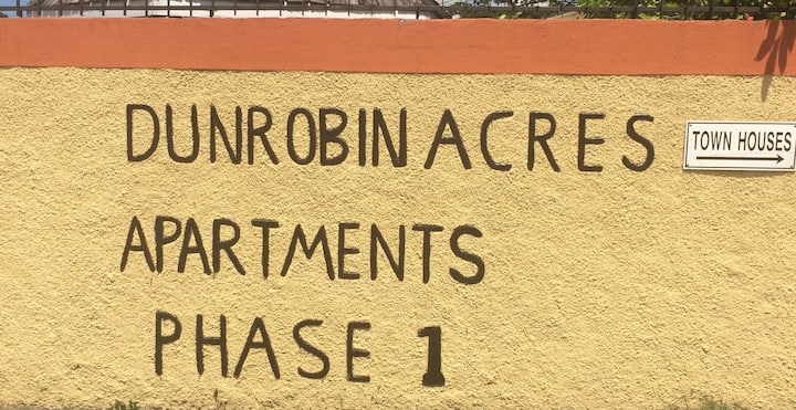 Tropical Palms Getaway - 京士頓