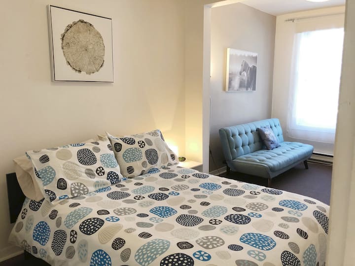 Vintage, Confortable : 300m Métro Rosemont (G) - Montreal