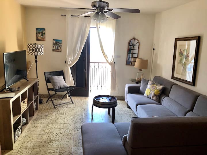 Charming 2 BD Ocean view Apt near Historic sites - Apartments for Rent ...