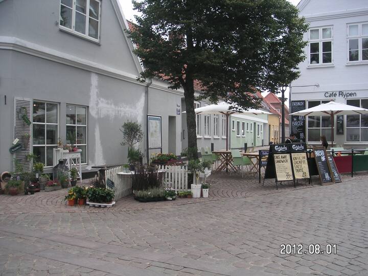 Det Grønne Hus  Midt I Ribe - Ribe