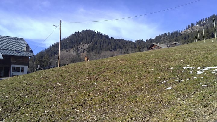 Ferme Bon Accueil - La Chapelle-d'Abondance