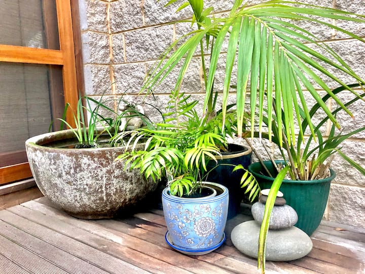 Seaescape Surfer - Apollo Bay