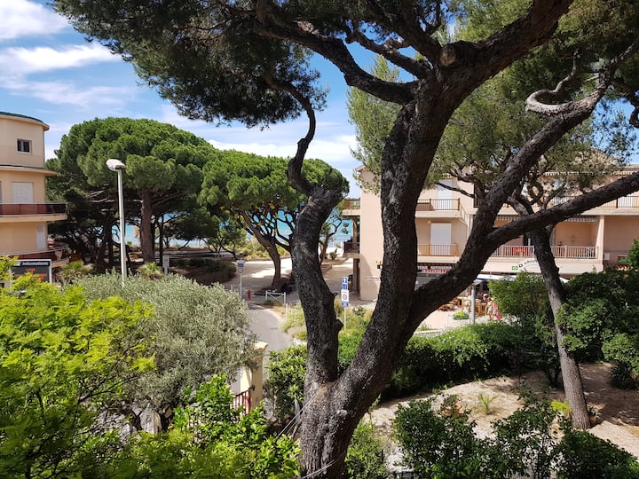 Un Nid En Bord De Mer - Saint-Cyr-sur-Mer